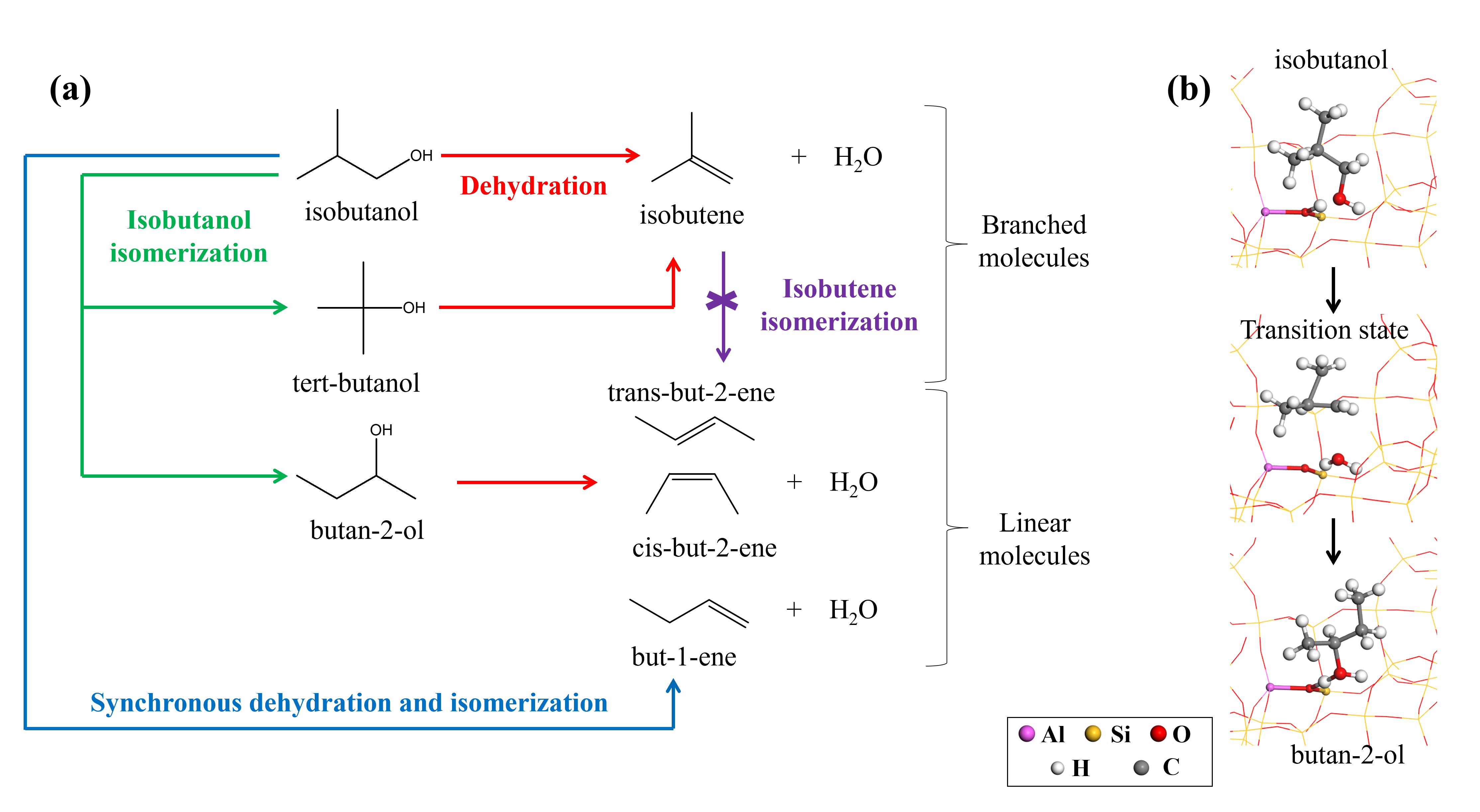 SC2 - Quantum calculation reveals key mechanisms for bio-based chemistry | IFPEN
